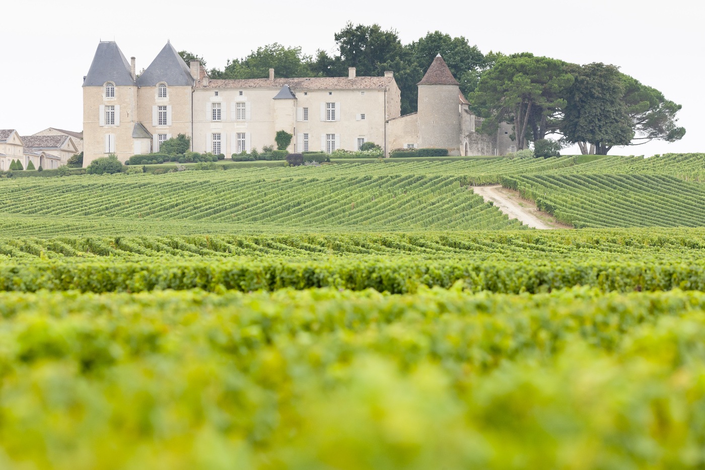 The magnificent 10: top Bordeaux wine producers