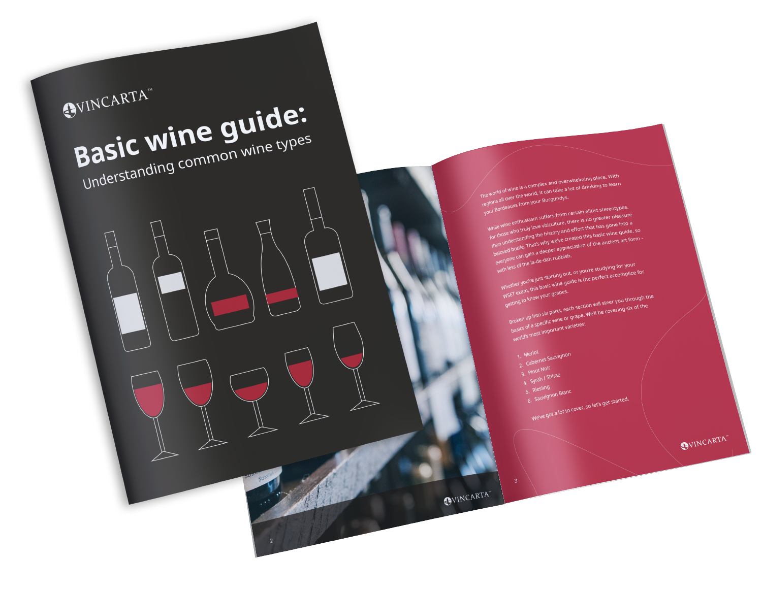 Thank you for downloading your guide to wine basics