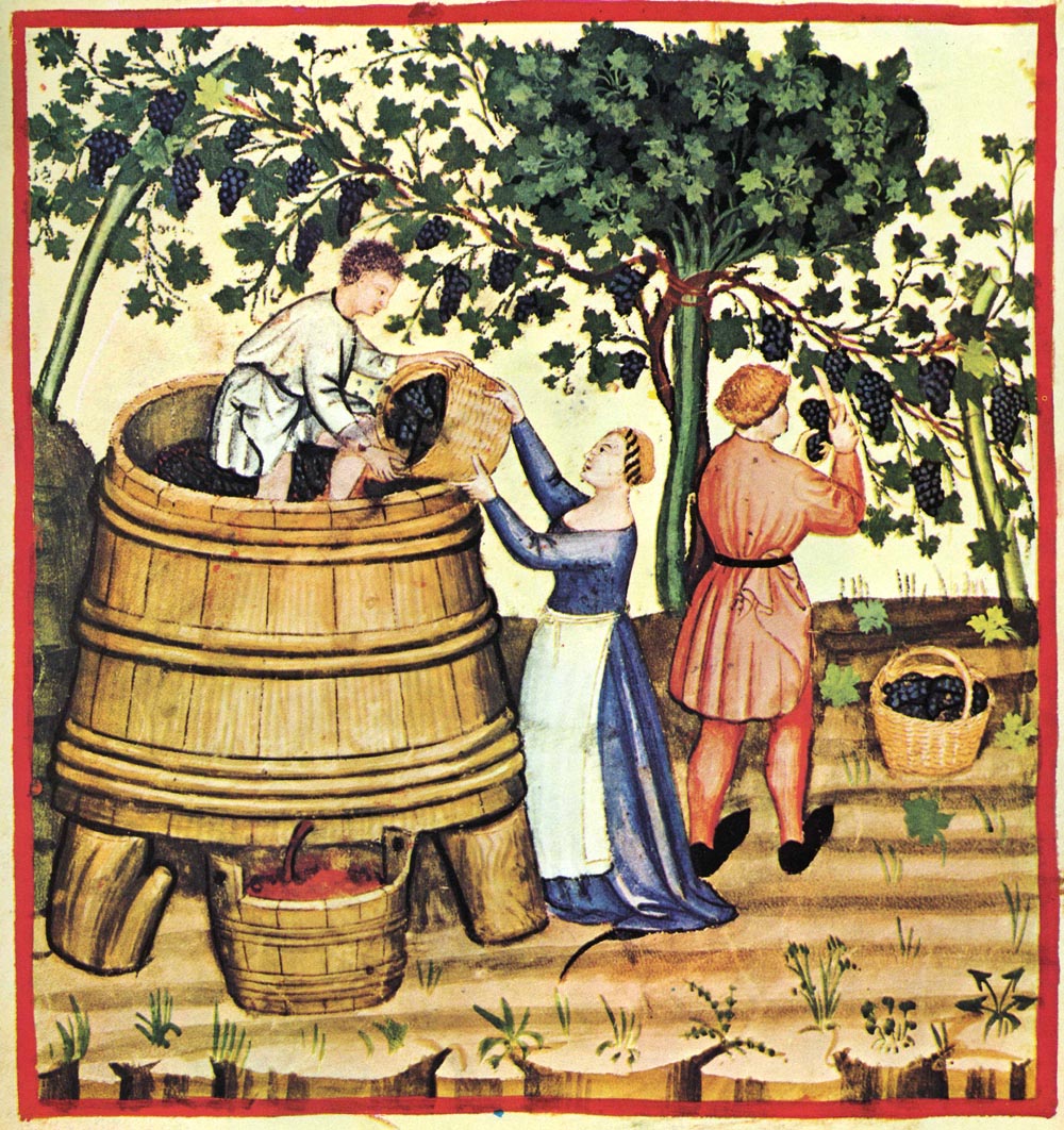 How is wine made? The ancient art of winemaking (Video) - Vincarta