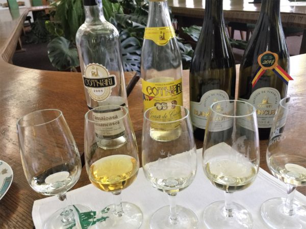 Cotnari: a historical Romanian wine-producing region