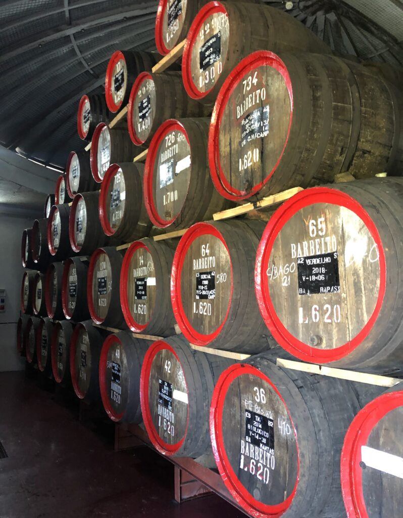 Madeira: visiting the island for wine and food lovers