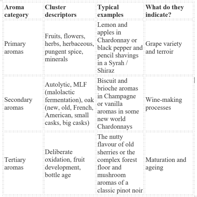 Wine tasting for beginners: The complete guide to wine tasting