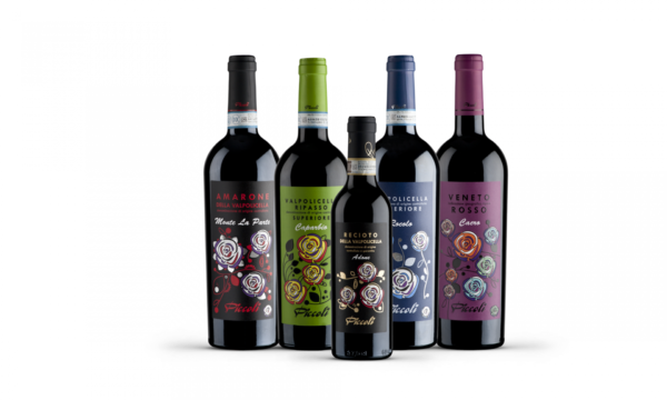 Piccoli: ambitious wine-making in the heart of Valpolicella