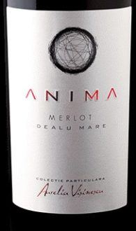 How to read a wine label: 7 essential things to look for